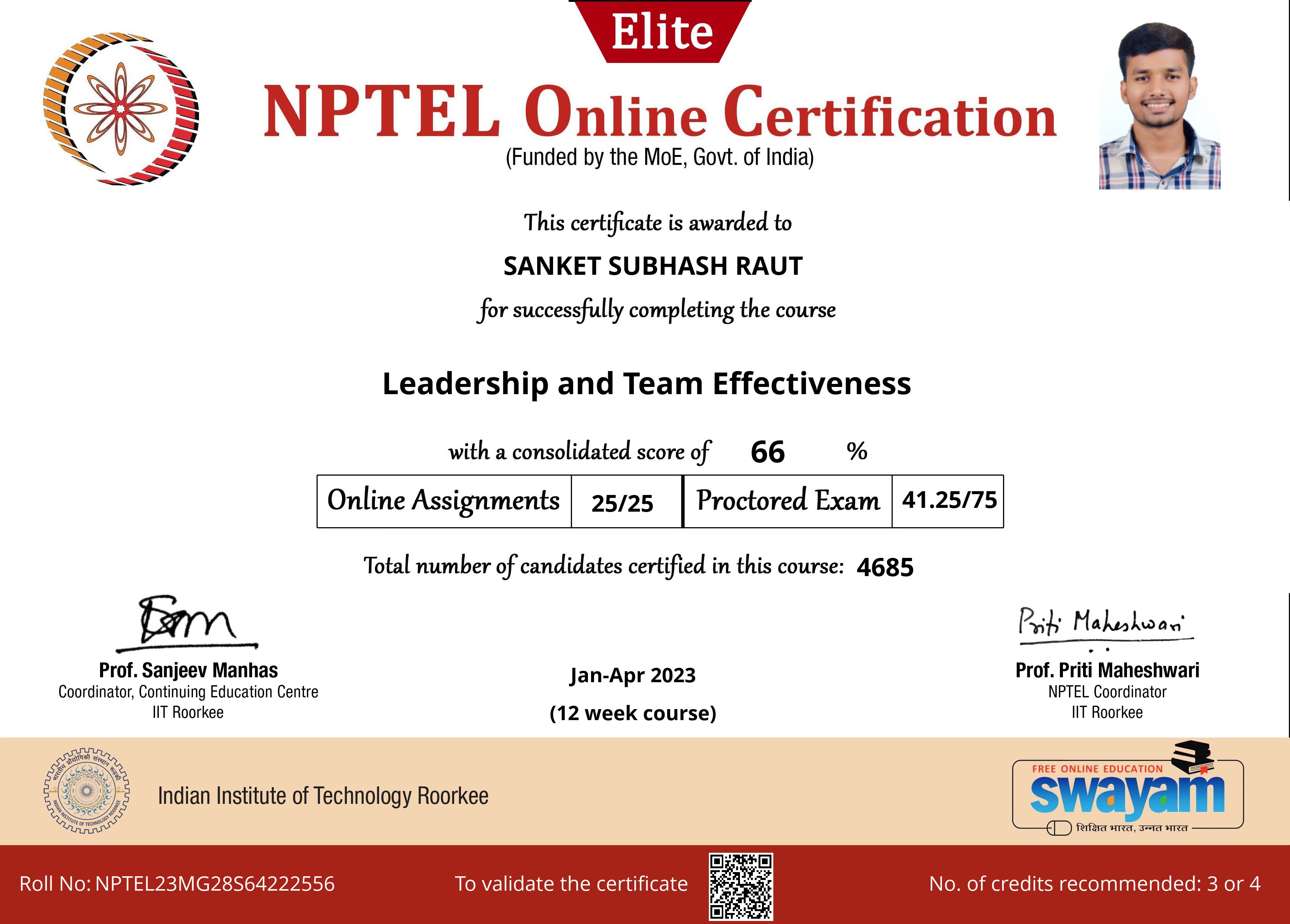 Sanket Raut - Data Engineer | Consultant | LinkedIn