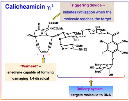 Figure 9. Structural features of Calicheamicin.